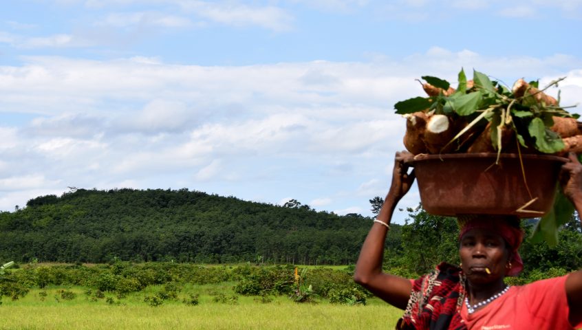 Beyond Chocolate大会30/09/2021 - IDH -可持续贸易倡议 - manbetx万博靠谱吗,manbetx客户端首页,manbetx全站app下载